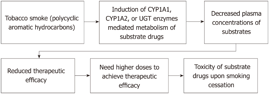 Startup Landing Page